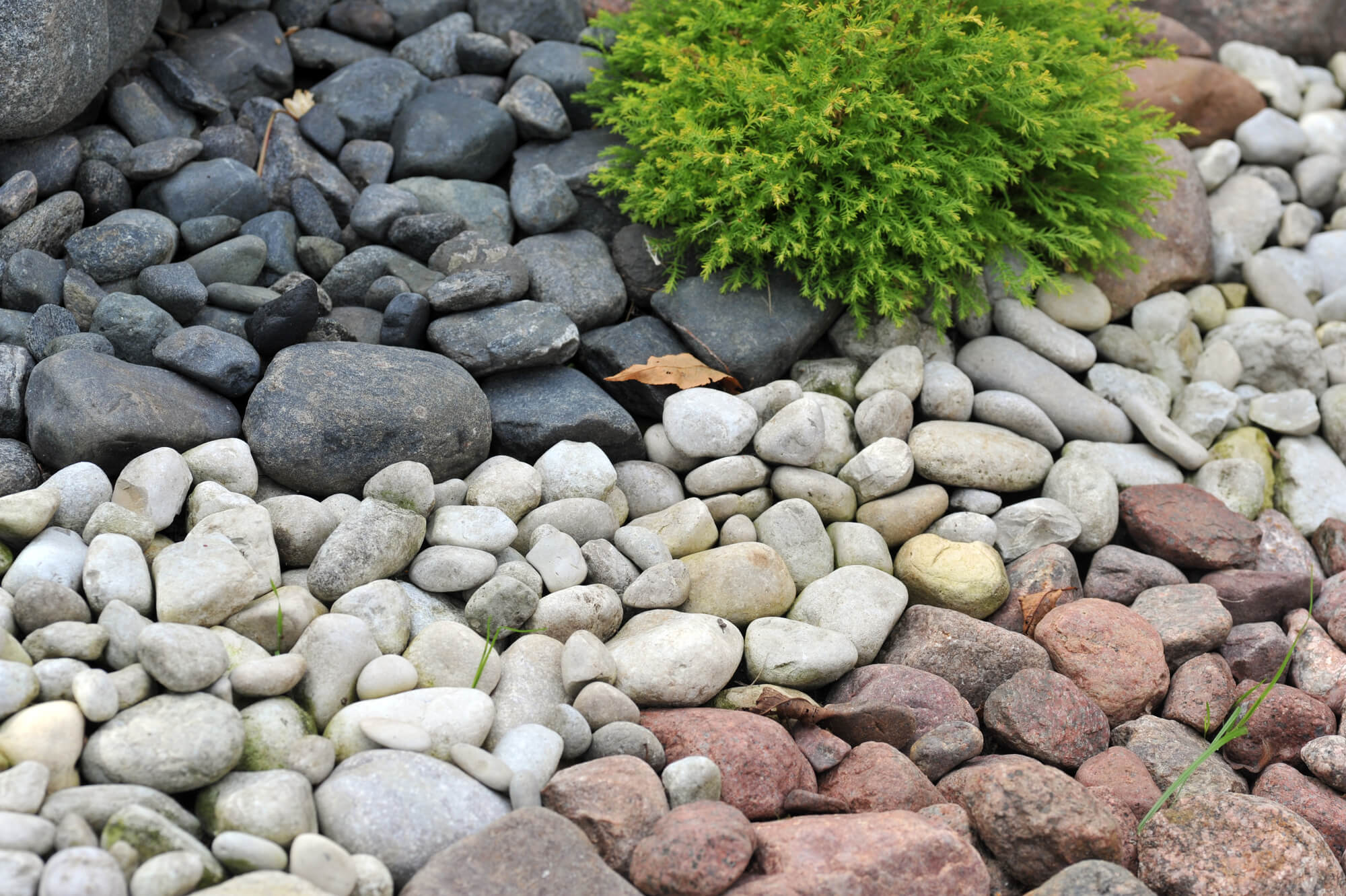Landscaping with Rocks and Sand in Palmetto Bay