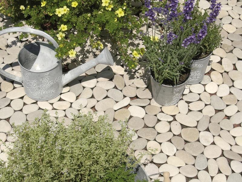 Nature-Inspired Patterns for Outdoor Tile Designs | D&B Tile